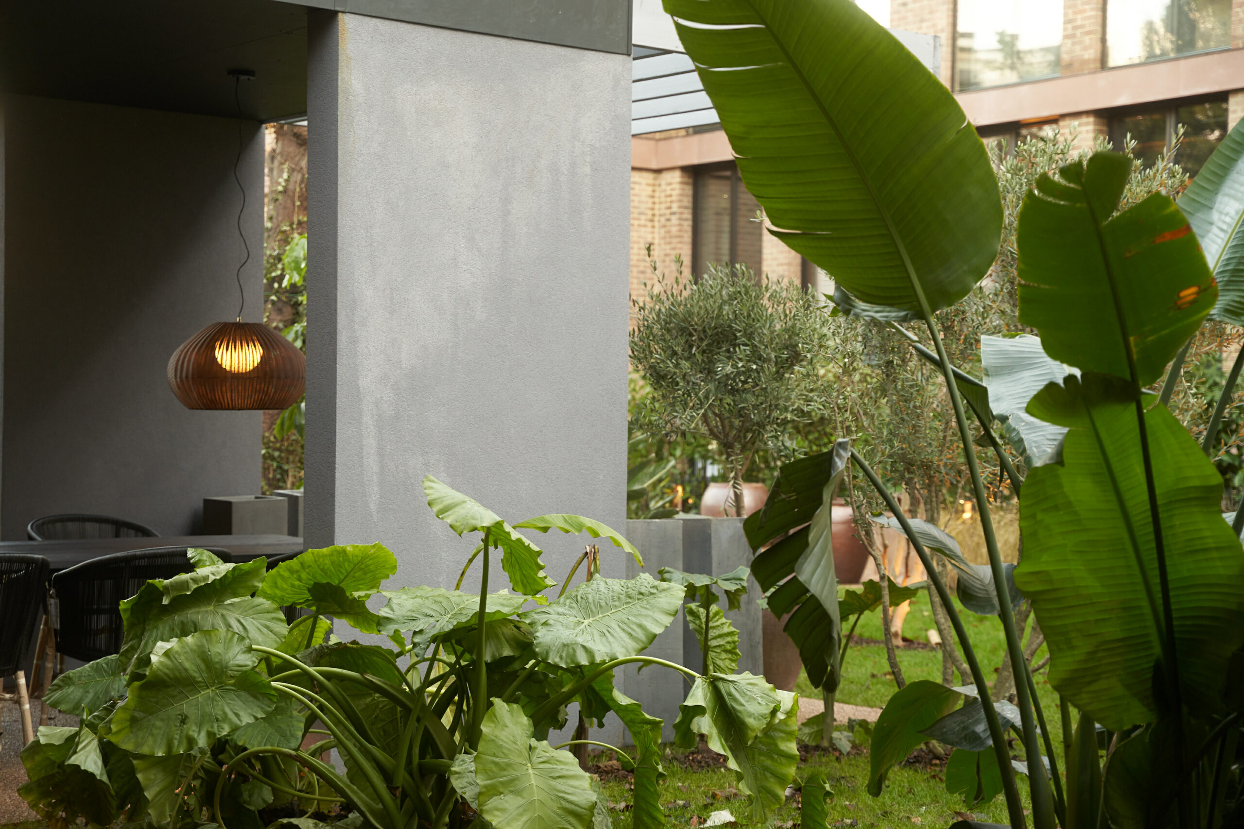 Dandi Brondesbury - Dandi