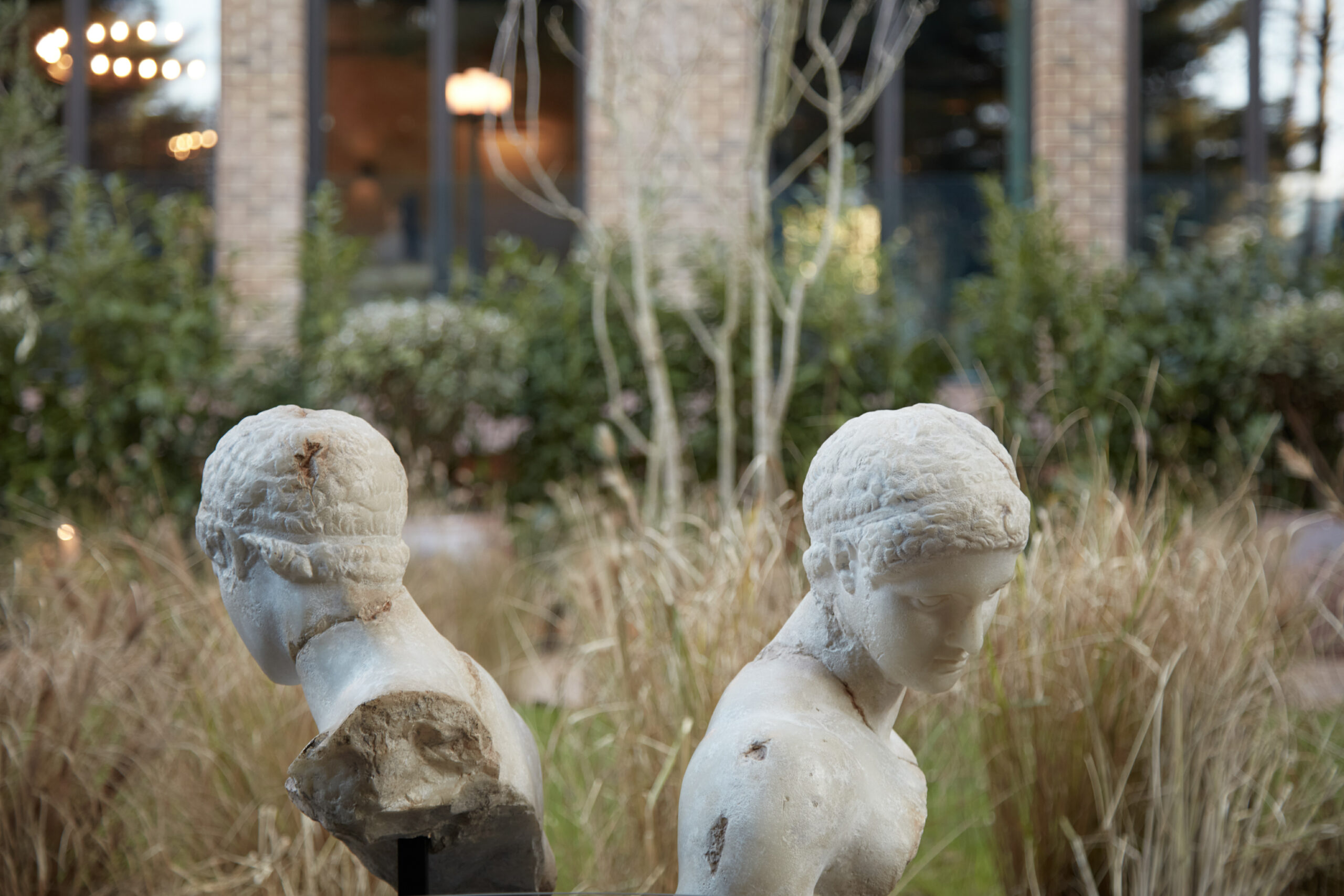 Dandi Brondesbury - Dandi